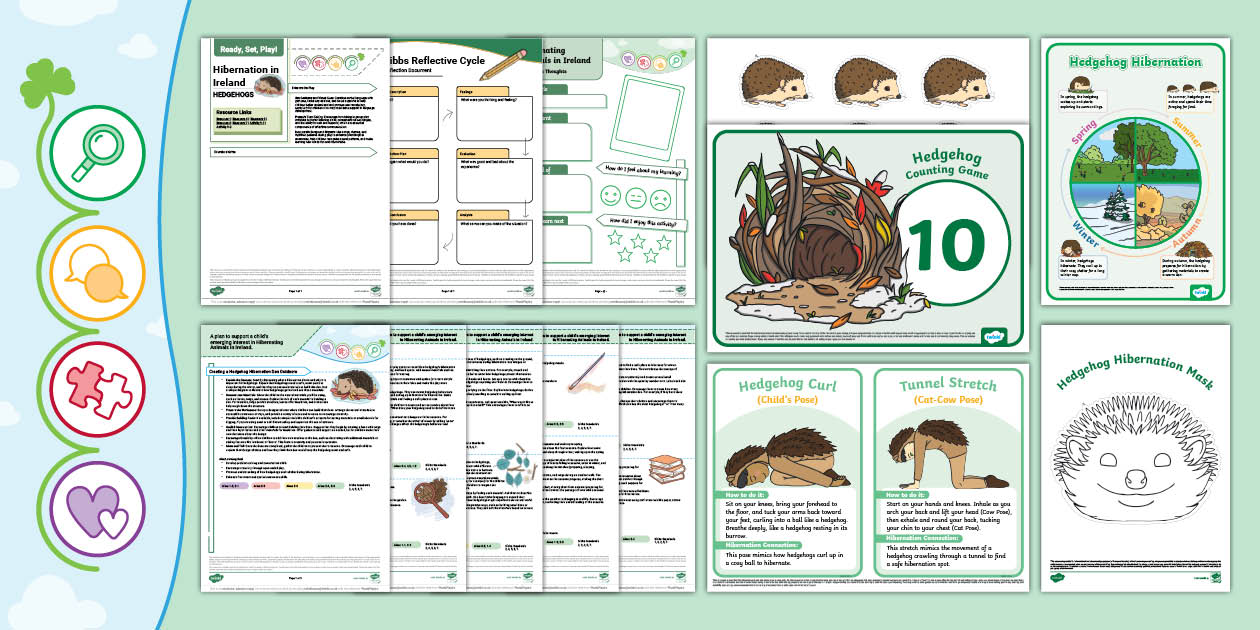 Winter Hibernation - Hedgehogs Plan and Play Pack - Twinkl