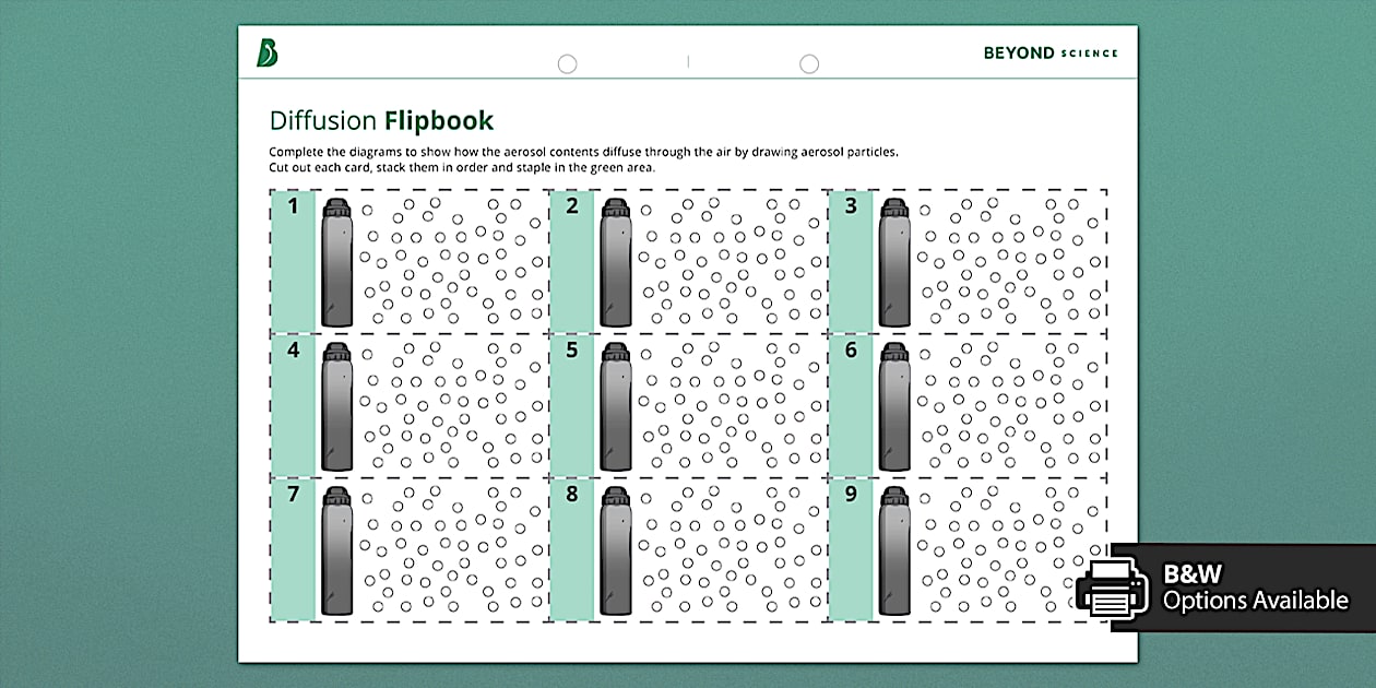 Diffusion Flipbook Differentiated Worksheet / Worksheets