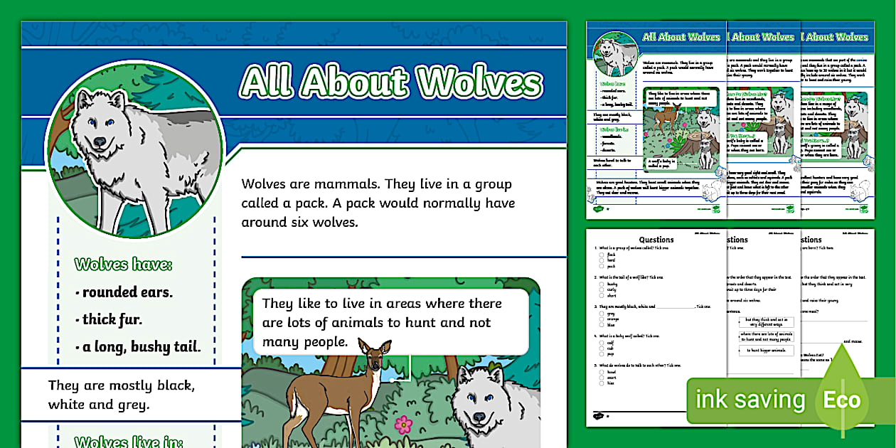 KS1 Wolves Differentiated Reading Comprehension Activity