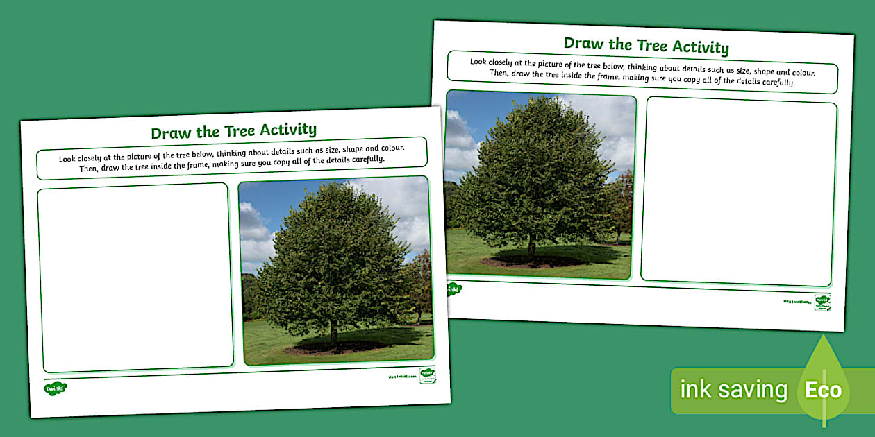 Tree Image Drawing Activity (teacher made) - Twinkl