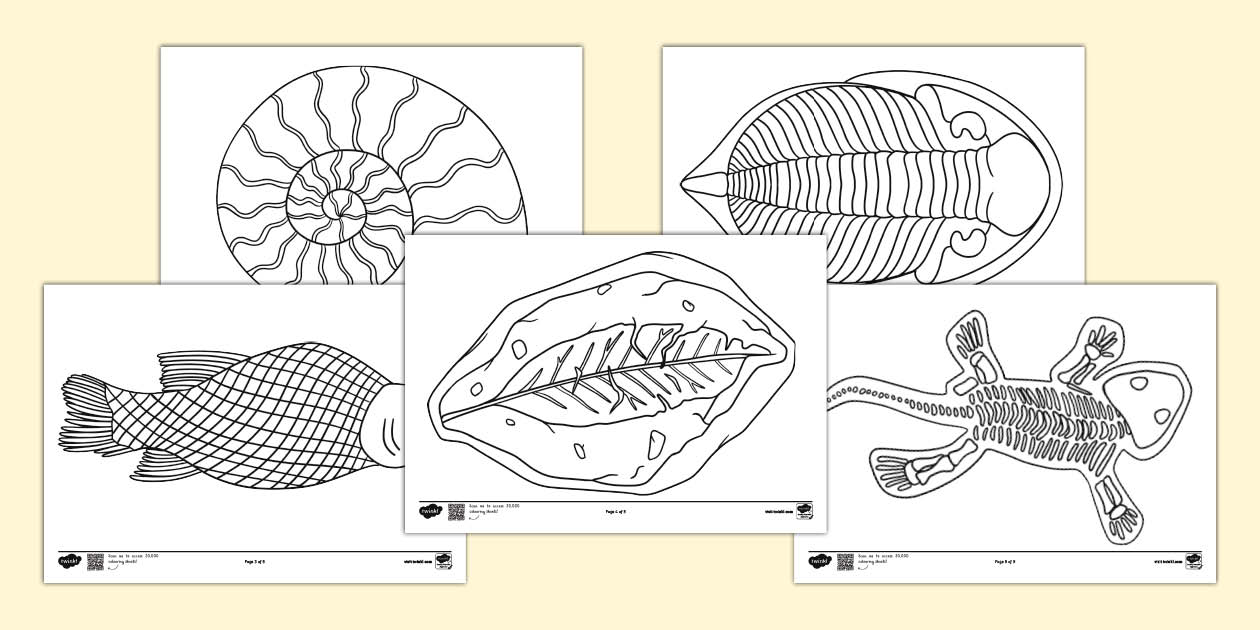 KS1 Fossil Colouring Sheets (teacher made) - Twinkl