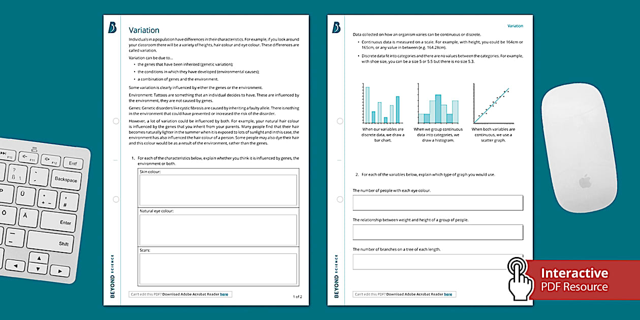 Variation Worksheet - Interactive | Biology |Beyond - Twinkl