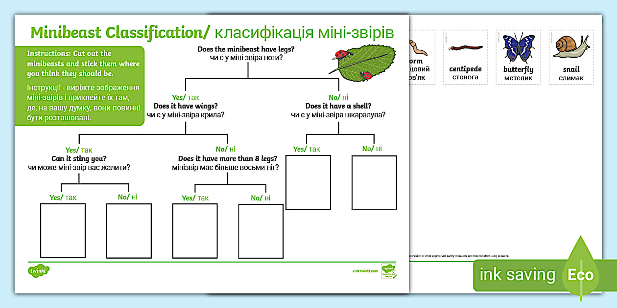 Minibeast Classification - English Ukrainian Dual Language