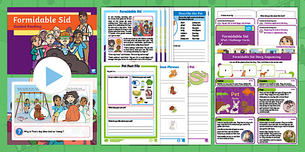 Formidable Sid Guided Reading Pack (Teacher-Made) - Twinkl