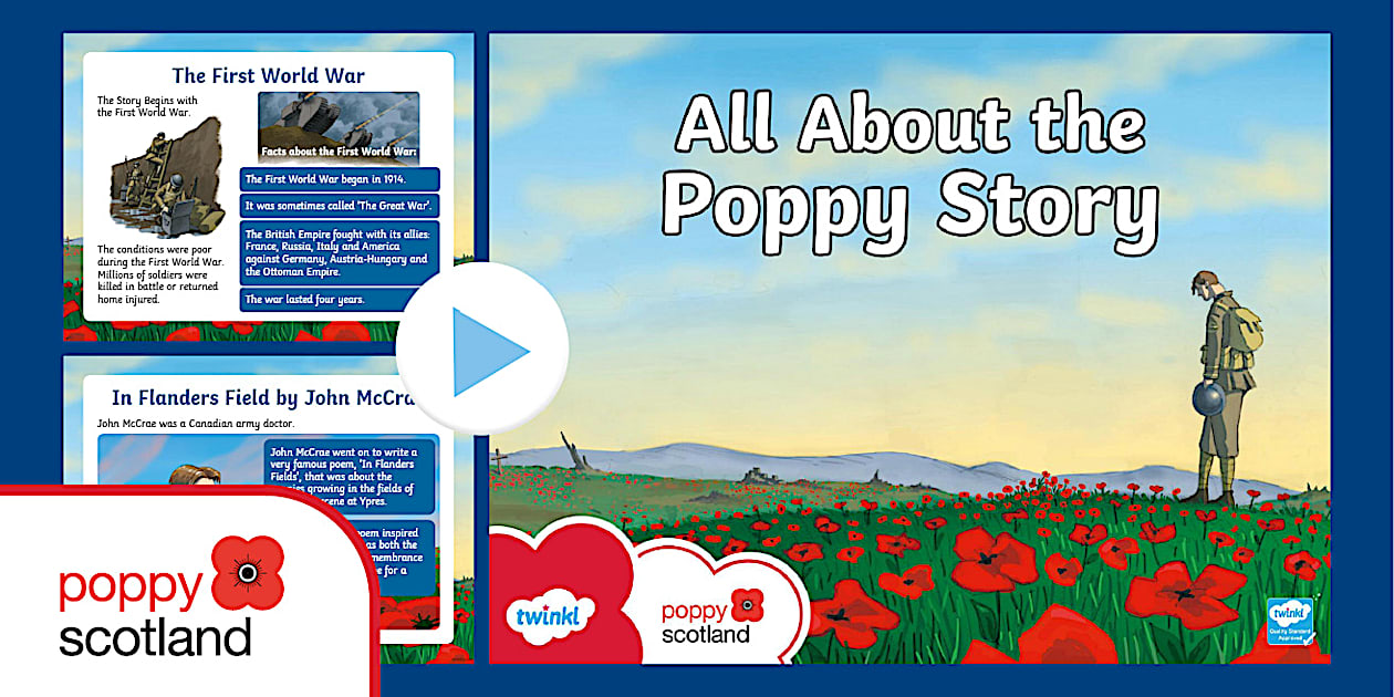 FREE! - All About the Poppy PowerPoint | CfE Resources | Twinkl