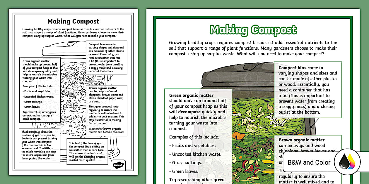 Making Compost Fact Sheet for 3rd-5th Grade - Twinkl