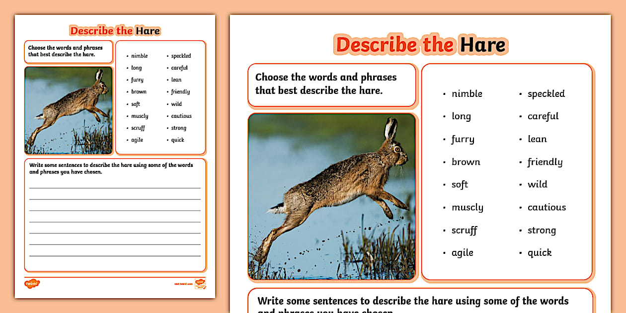 Describe the Hare Worksheet (teacher made) - Twinkl