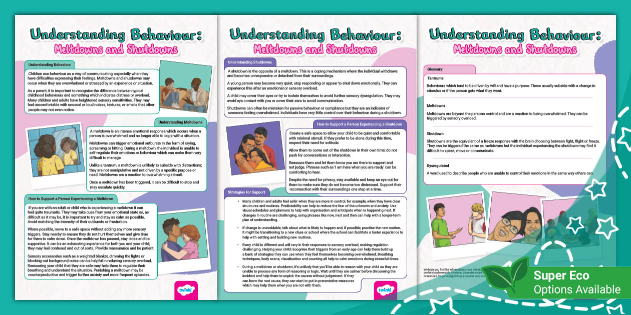 Understanding Behaviour: Meltdowns and Shutdowns - Twinkl