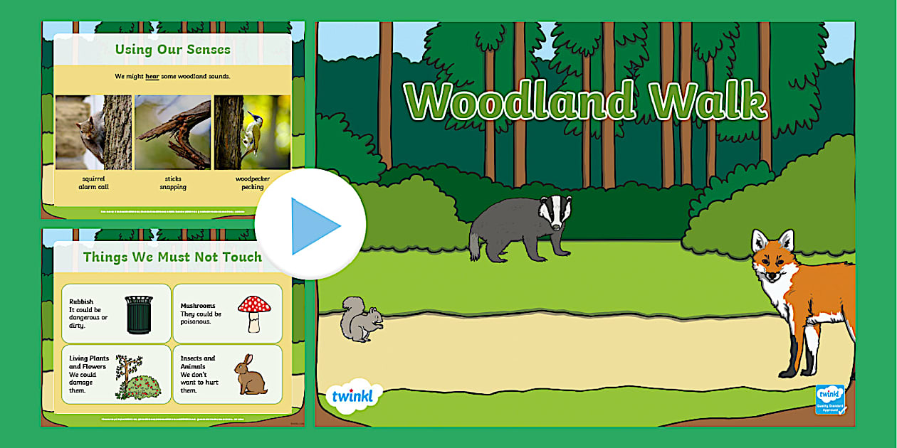 Woodland Walk EYFS PowerPoint (teacher made) - Twinkl