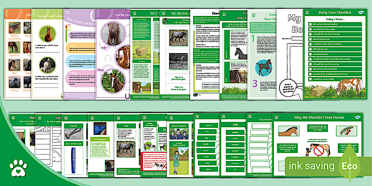 My Horse Booklet - Lapbook Creation Pack - Twinkl Pets