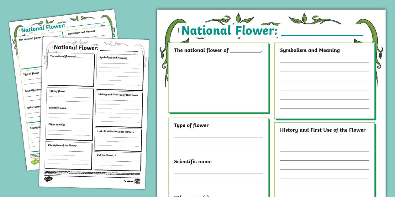 National Flower Fact File Template (Teacher-Made) - Twinkl