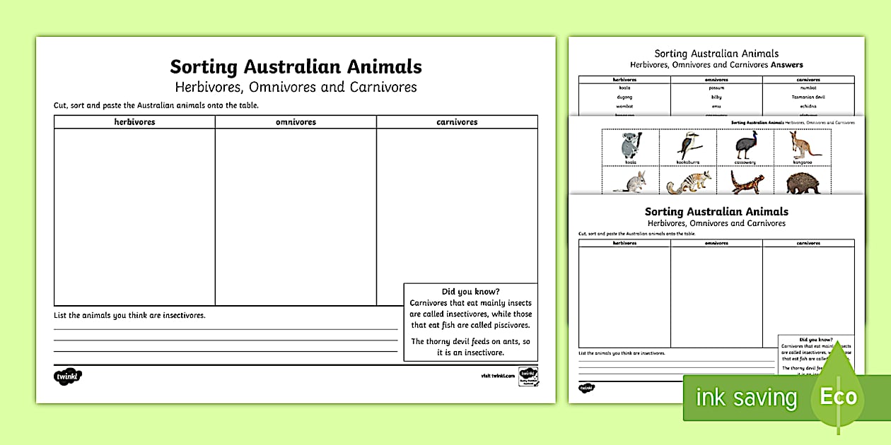 Editable Herbivores, Omnivores and Carnivores Sorting Worksheets