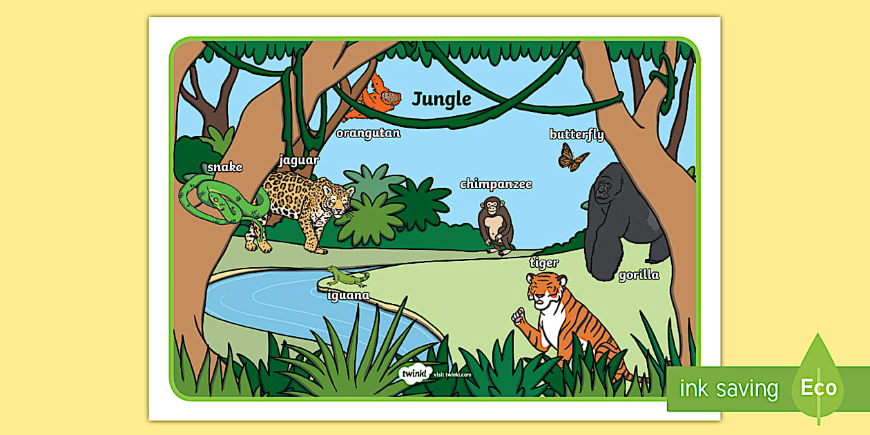 Jungle Scene Vocabulary Mat - ESL Jungle Vocabulary - Twinkl
