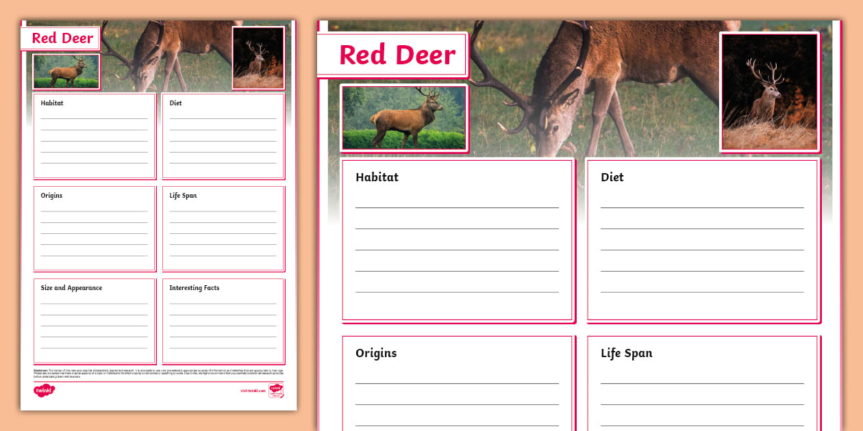 Red Deer Fact File Template - Twinkl Templates - Twinkl