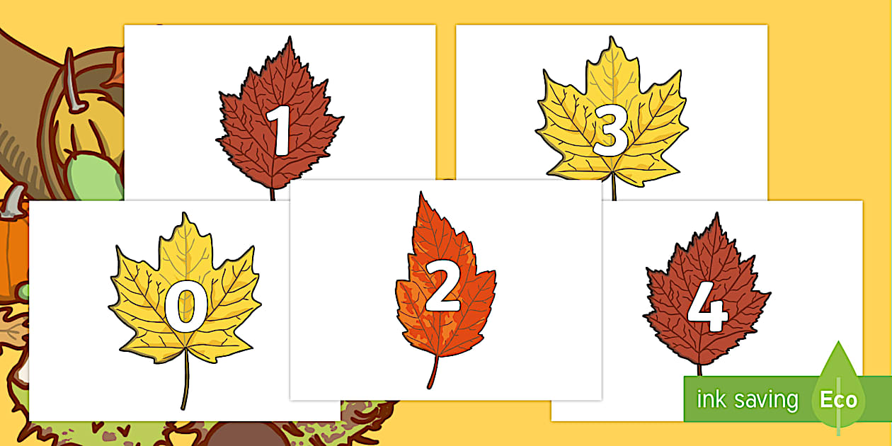 Numbers 0-20 on Autumn Leaves (teacher made) - Twinkl