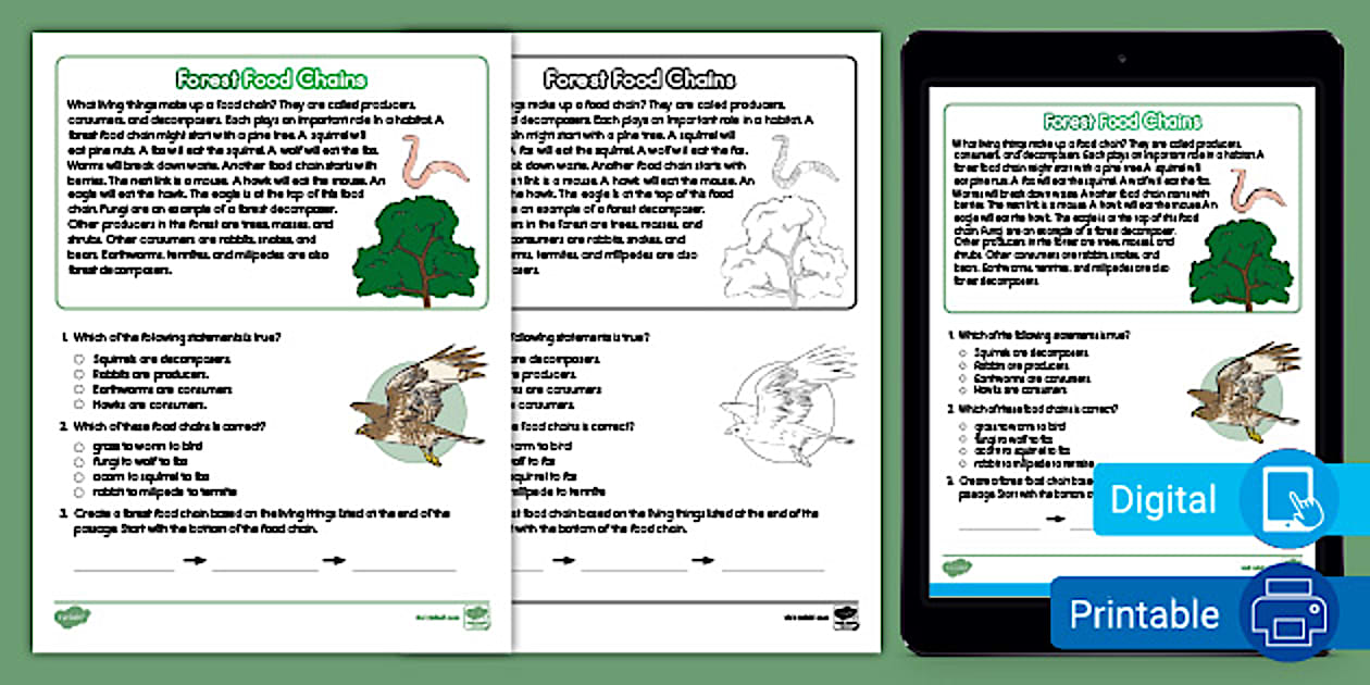 Second Grade Forest Food Chain Reading Passage Comprehension Worksheet