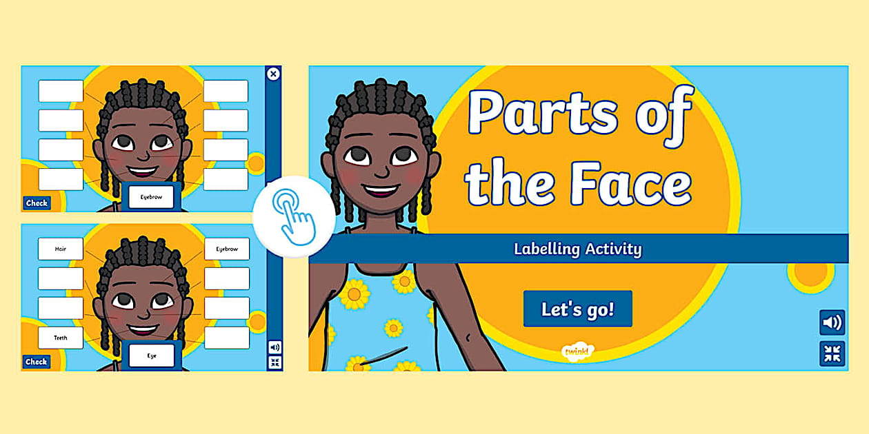 Parts of the Face Interactive Labelling Activity - Twinkl