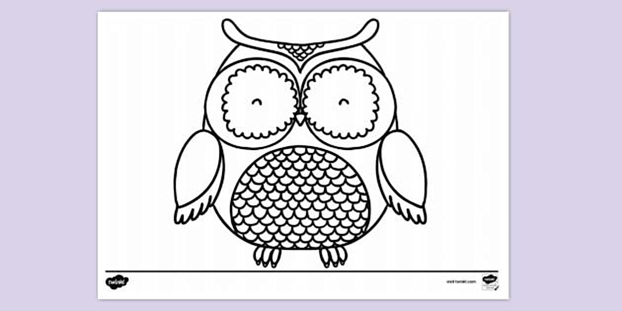 Owl Colouring Sheet | Colouring Sheets (teacher made)