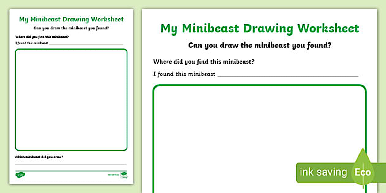 Editable My Minibeast Drawing Worksheet (teacher made)