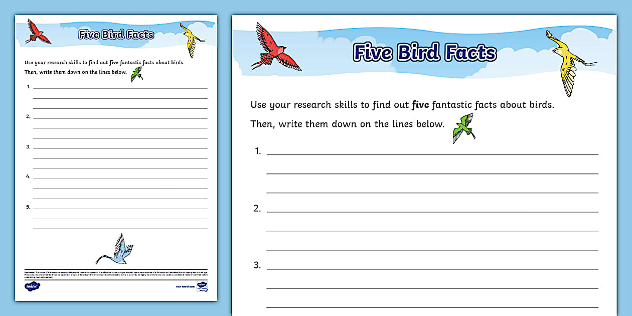 Find Five Bird Facts Activity (teacher made) - Twinkl