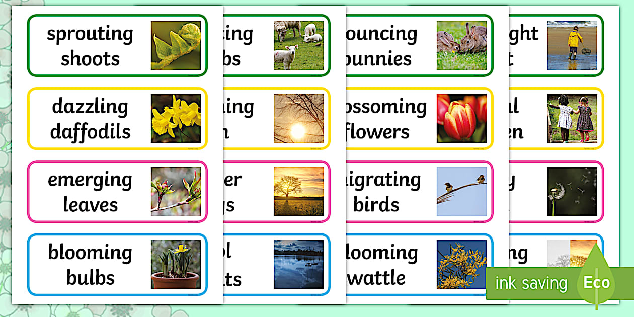 Spring Adjectives Word Cards (teacher made) - Twinkl