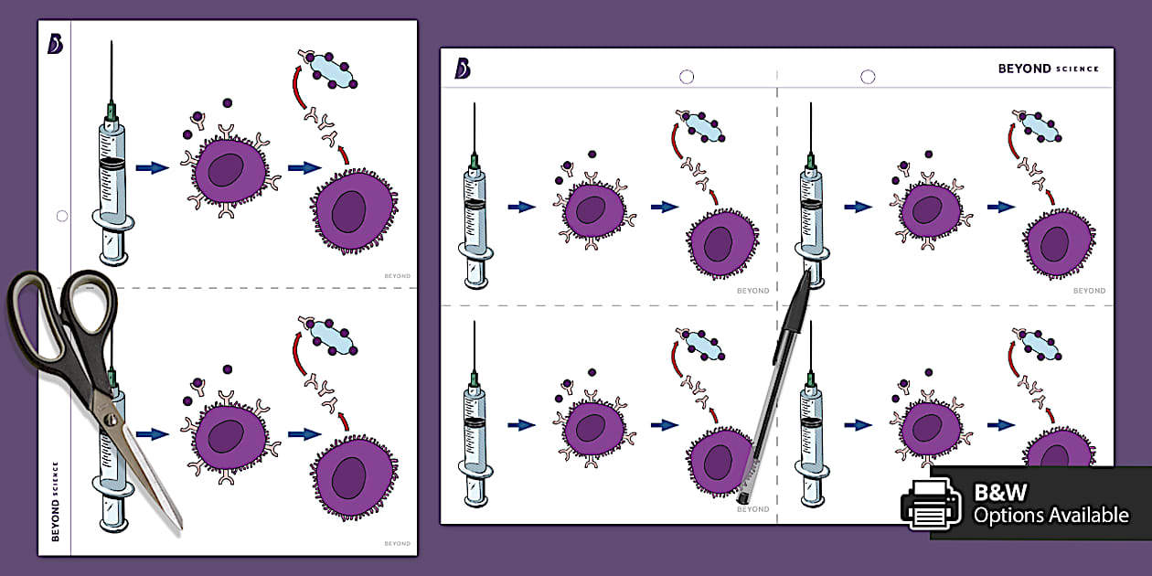 Vaccination Illustration Sheet | Science | Beyond - Twinkl