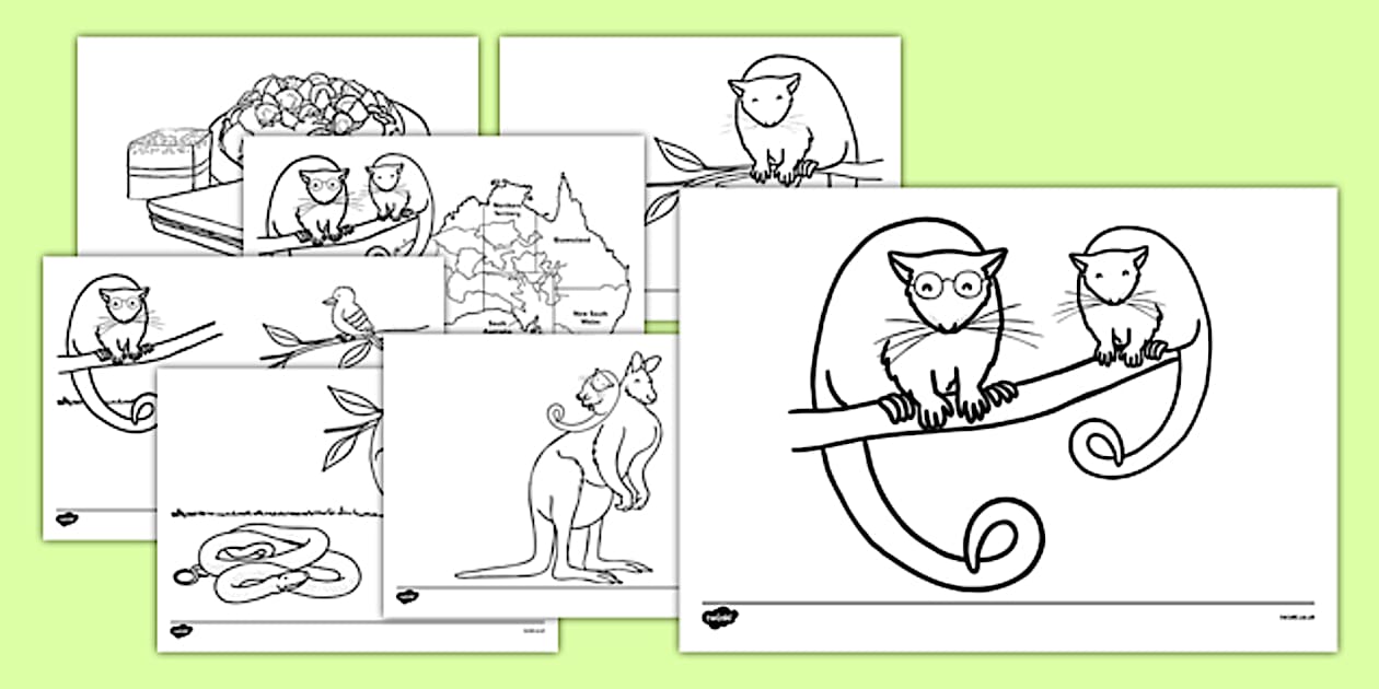 Editable Colouring Sheets to Support Teaching on Possum Magic