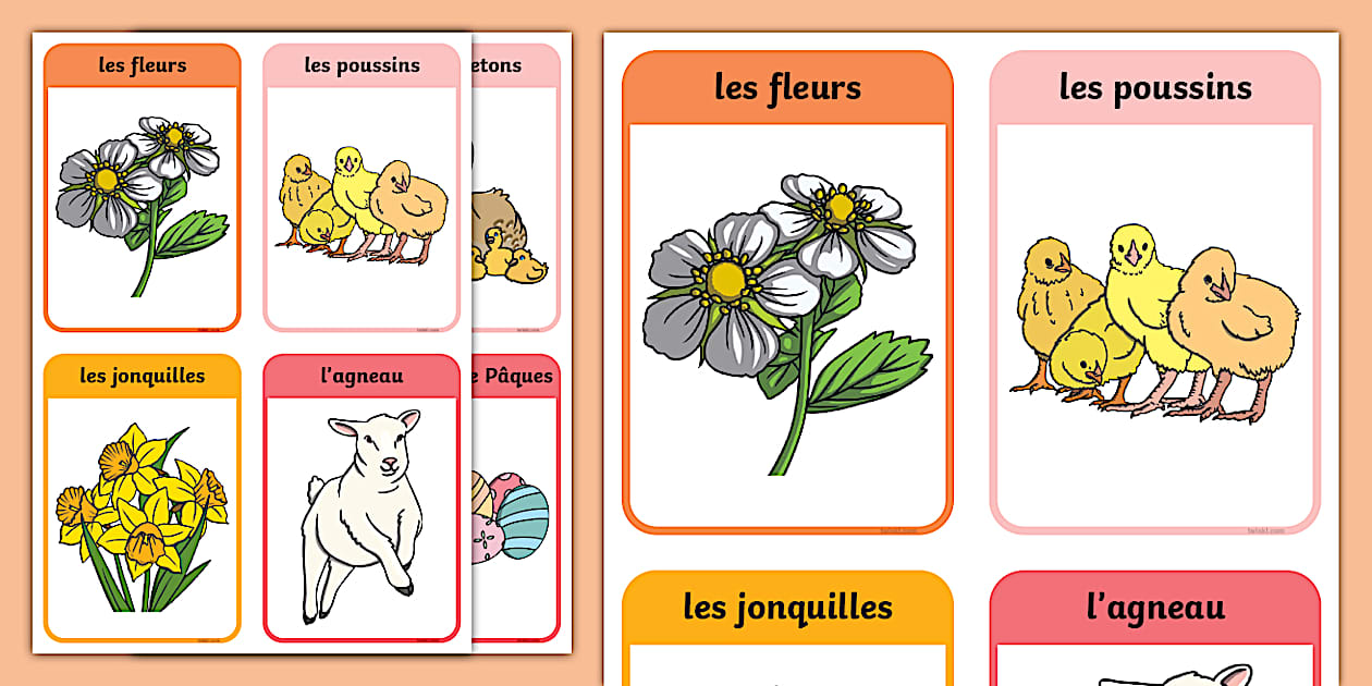 Cartes flash : Le printemps | Spring Flashcards - Twinkl