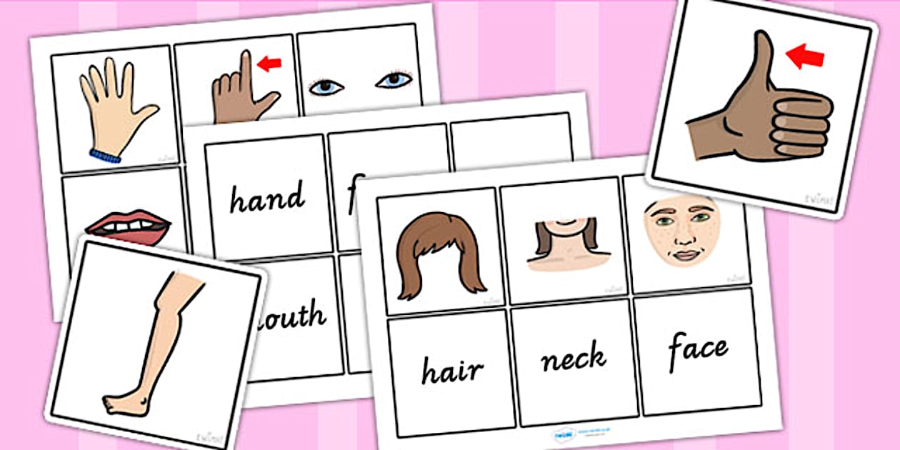 TAS Parts Of The Body Word And Picture Matching Cards