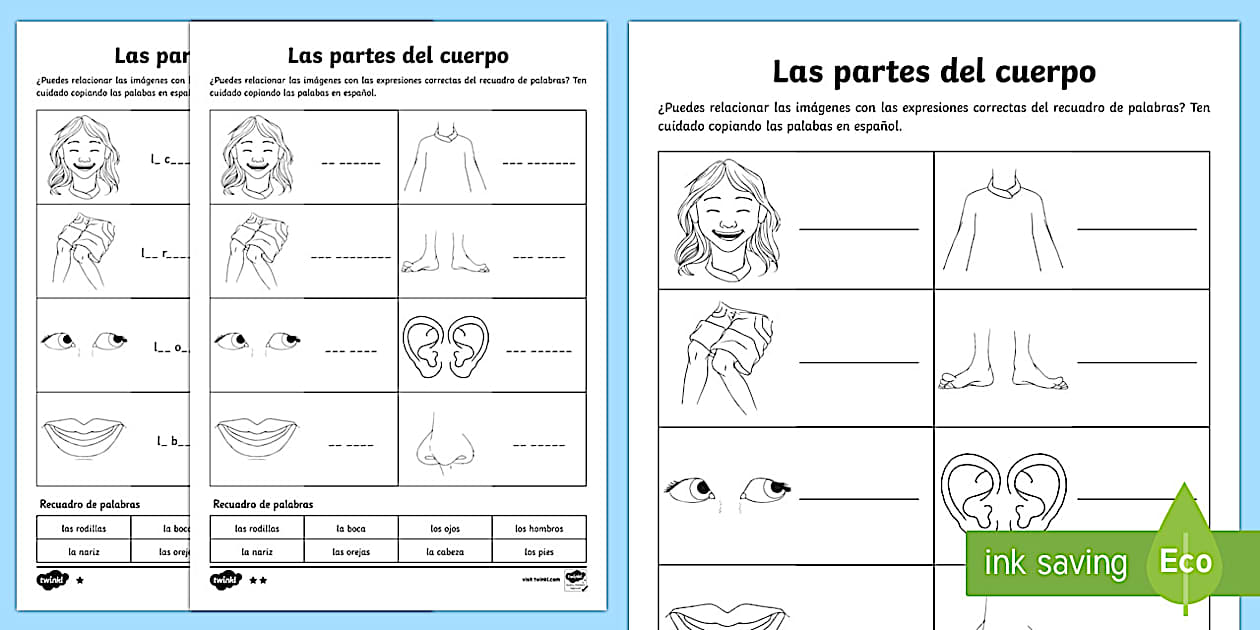 Las partes del cuerpo My Body Parts Worksheet / Worksheet Spanish