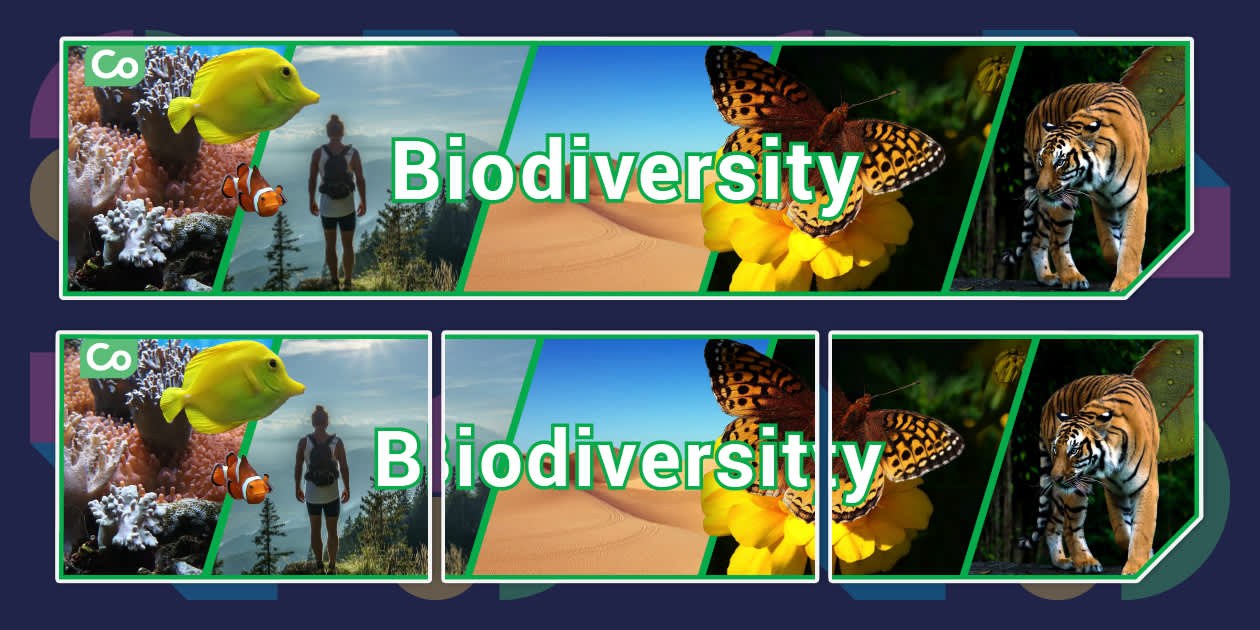 Biodiversity Display Banner (teacher made) - Twinkl
