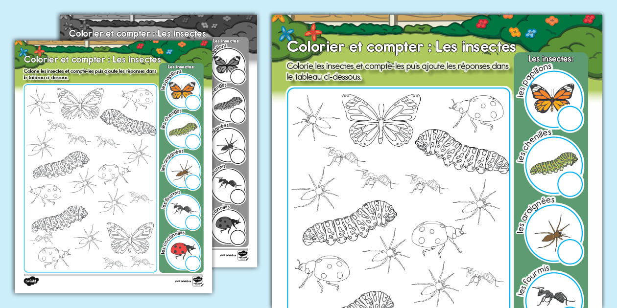 Coloriage insectes à imprimer | Activité de numération