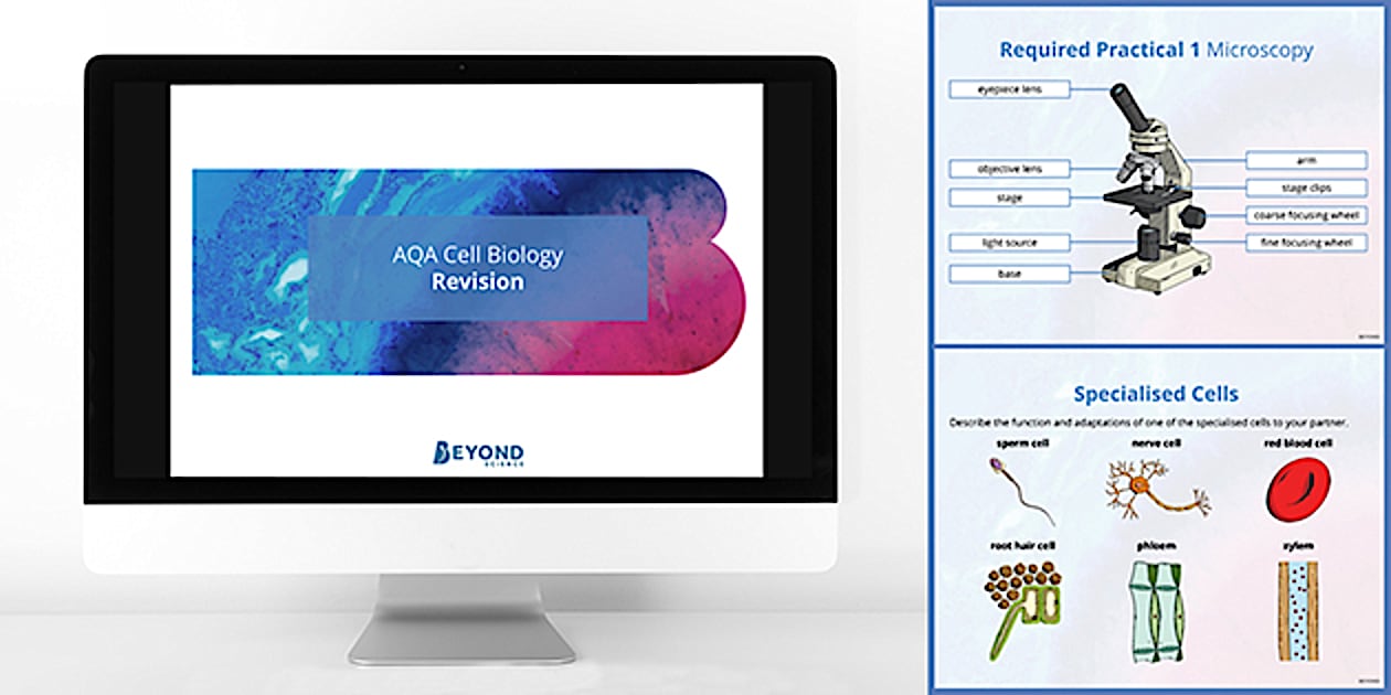 GCSE Cell Biology Revision PowerPoint | AQA Biology | Beyond