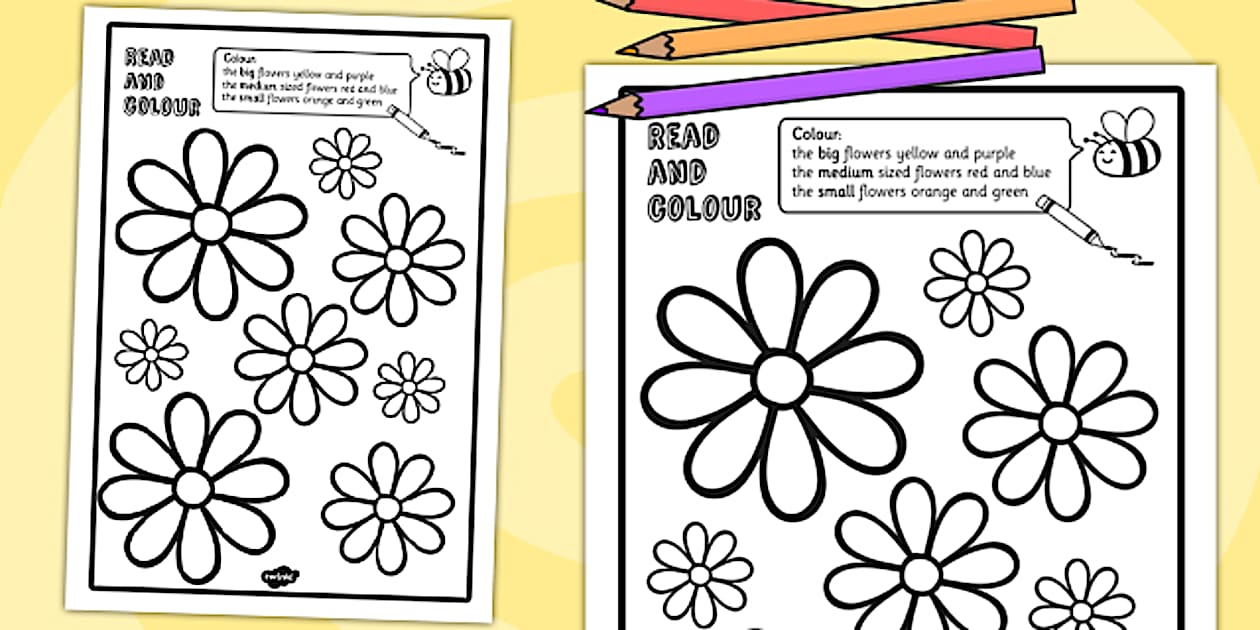 Flower Read and Colour Worksheet (teacher made) - Twinkl