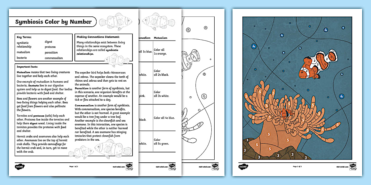 Color by Number Symbiosis | 7th Grade Worksheet | Twinkl USA