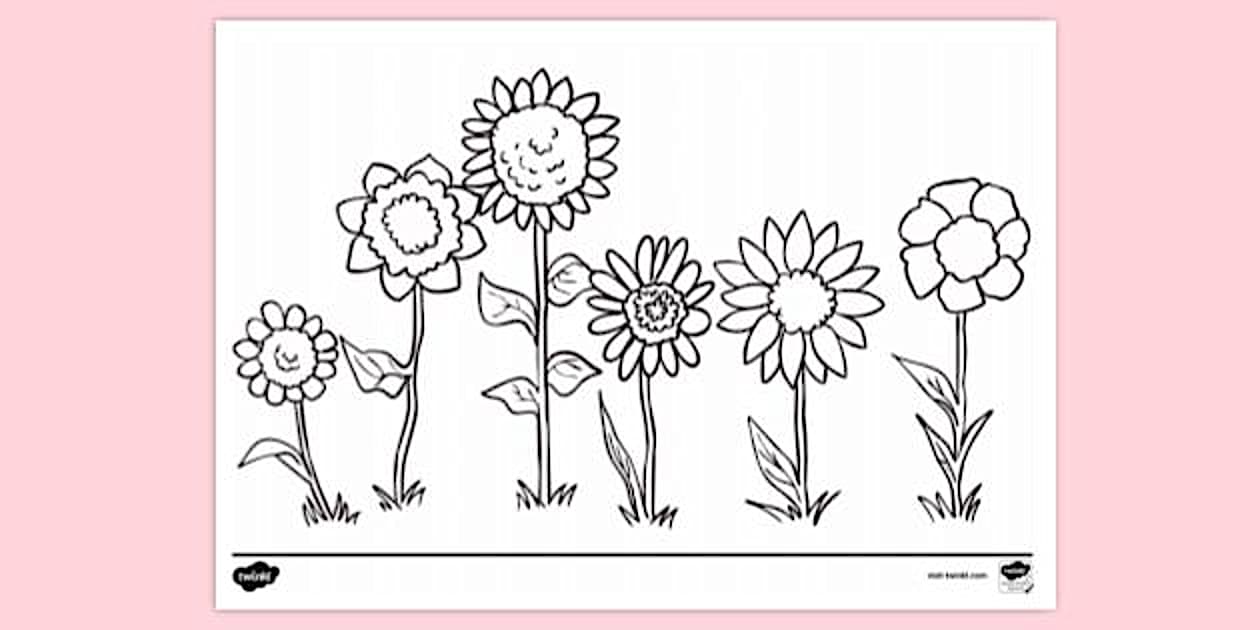 Colouring Page Printable Flowers | Colouring Sheets - Twinkl