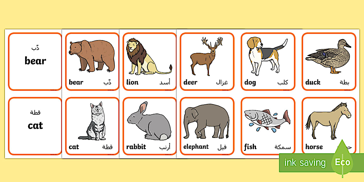 Animals Matching Cards Arabic/English (teacher made)