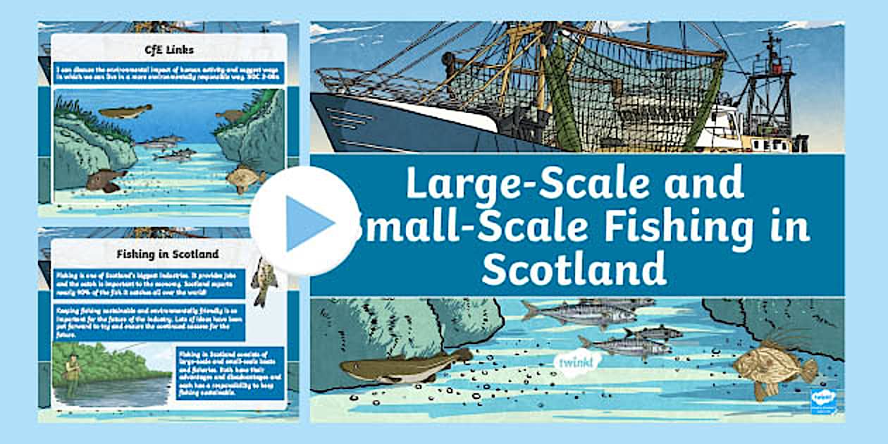 Large-Scale vs Small-Scale Fishing PowerPoint (teacher made)