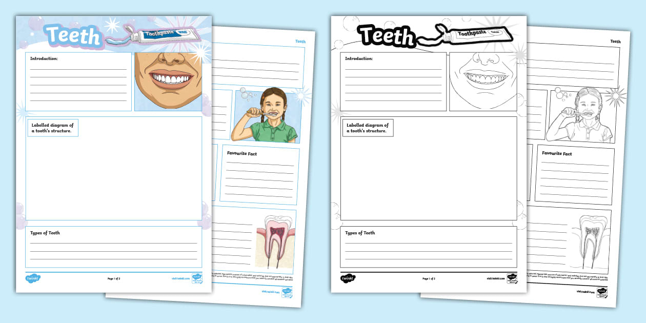 Teeth Non-Chronological Report Template (teacher made)