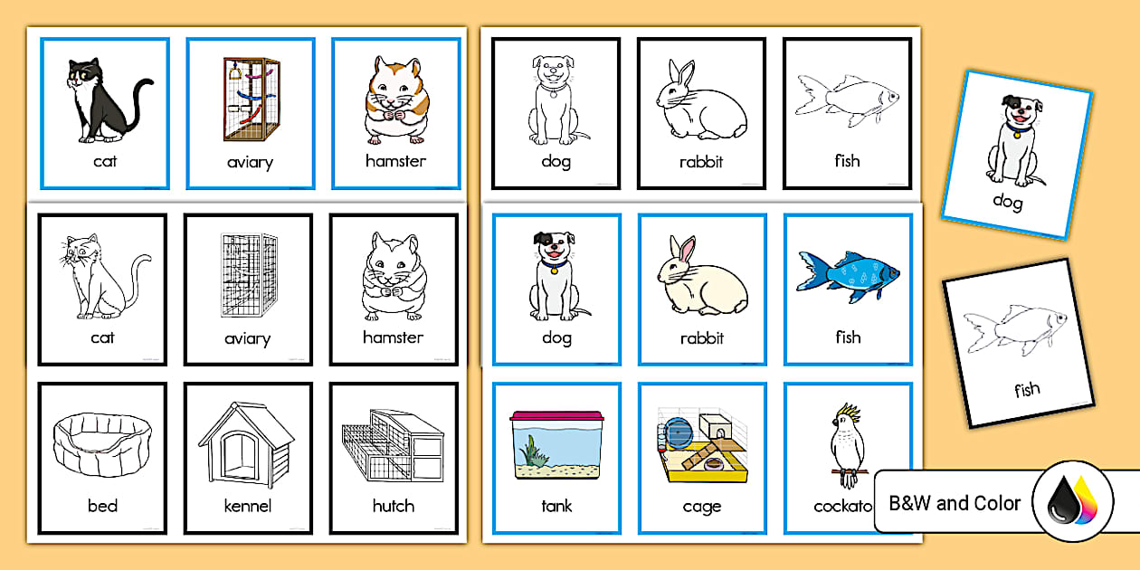 Pets and Where They Live Matching Cards (Teacher-Made)