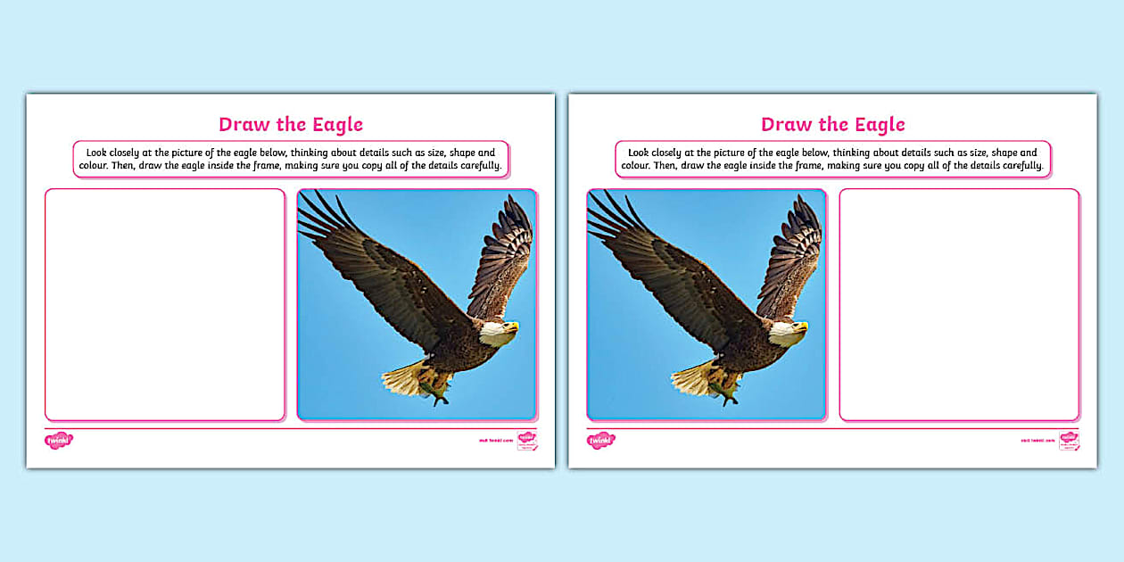 Draw the Eagle Worksheet (teacher made) - Twinkl