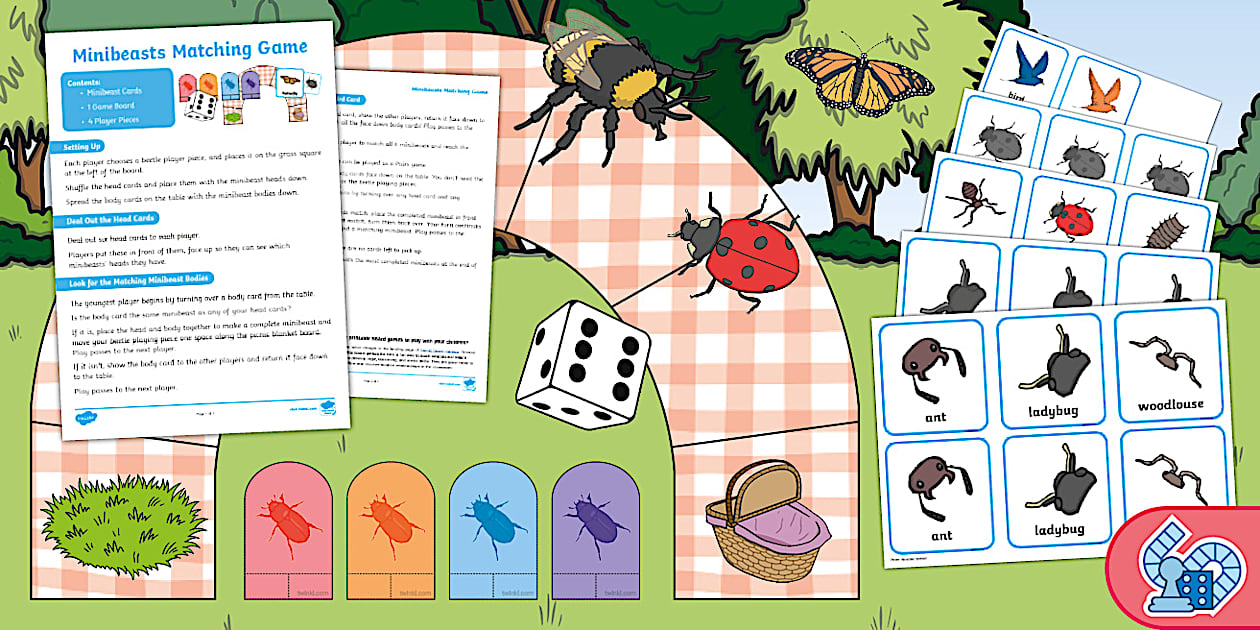 Minibeast Matching Game - Picnic Camping Game for Summer
