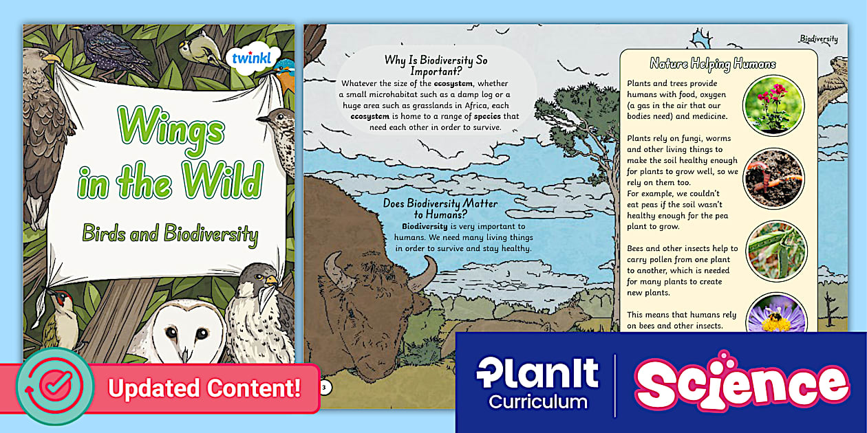 Science: Biodiversity: Birds Year 3 Wings in the Wild eBook