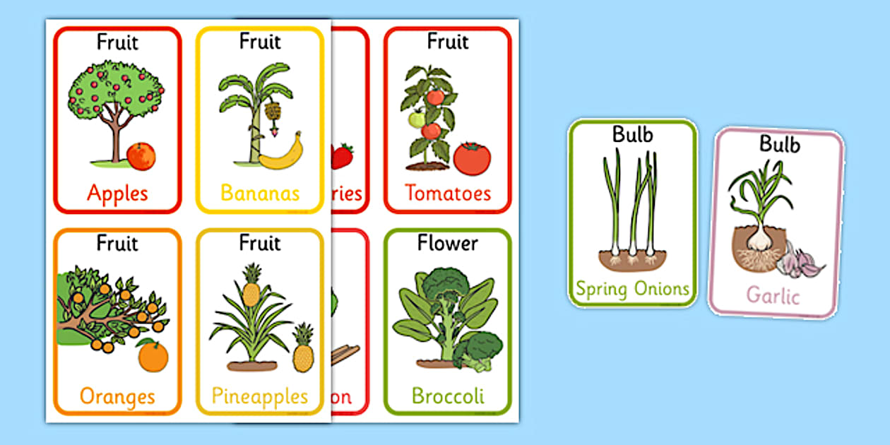 Edible Plant Parts Flash Cards