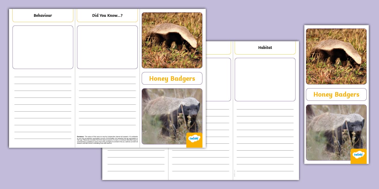 Honey Badger Leaflet Template (teacher made) - Twinkl