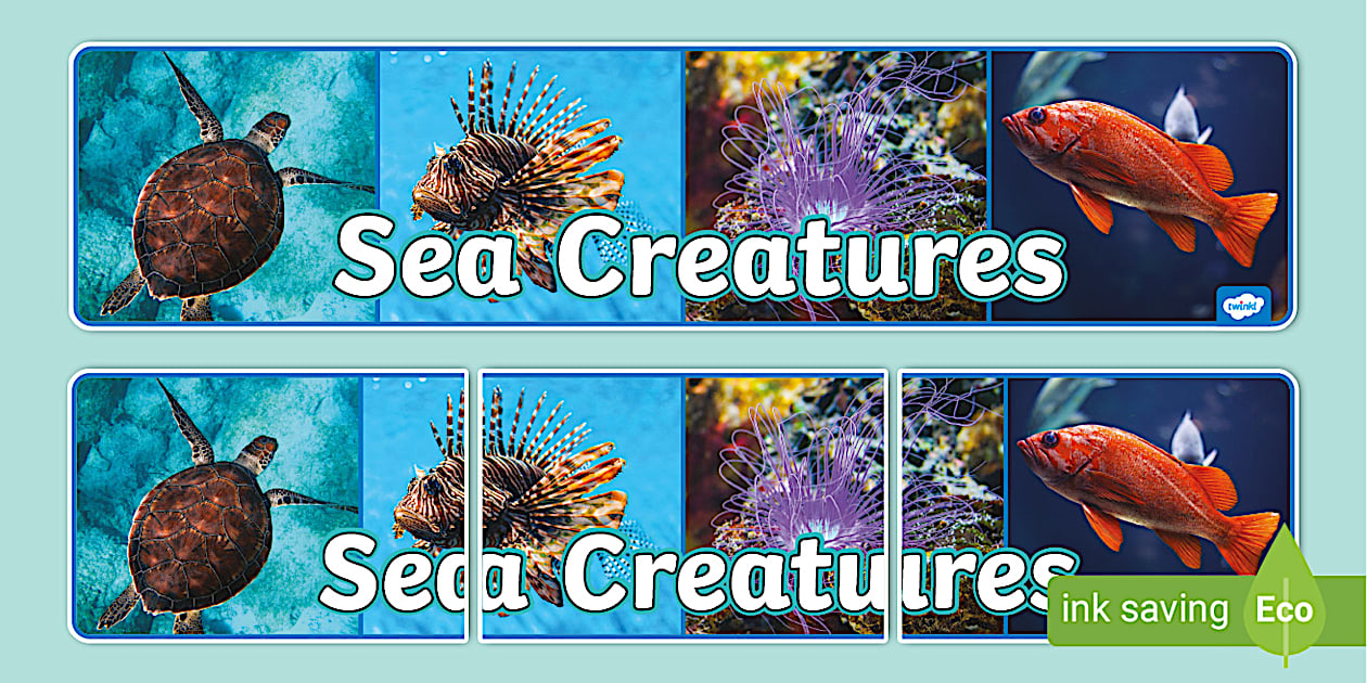 Sea Creatures Photo Display Banner (teacher made) - Twinkl