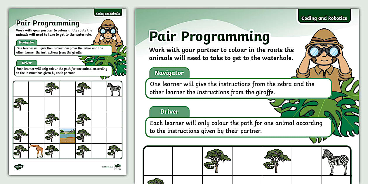 Robotics and Coding Pair Programming In the Bush - Twinkl