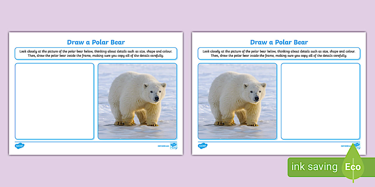 Draw a Polar Bear Worksheet (Teacher-Made) - Twinkl
