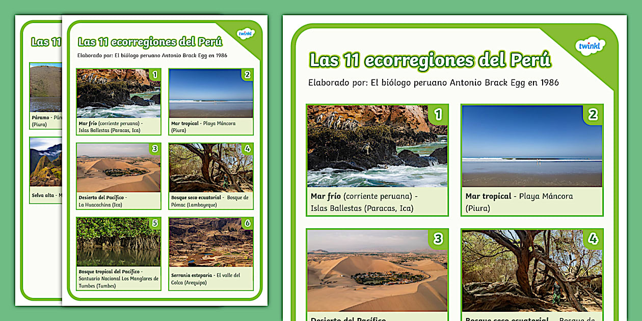 FREE! - Lámina de las 11 ecorregiones del Perú - Twinkl