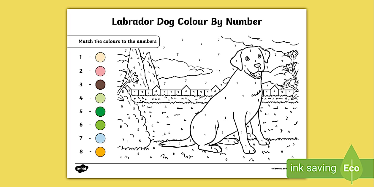 A Labrador Dog Colour-By-Number Worksheet | Twinkl | KS1